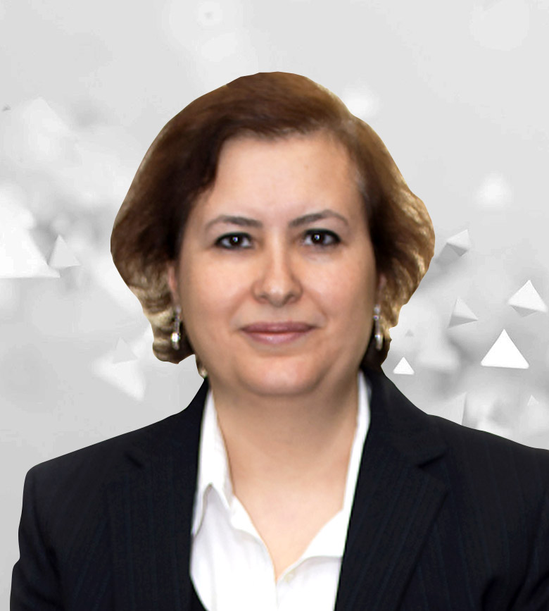 Hatice Kose – ITU|AI